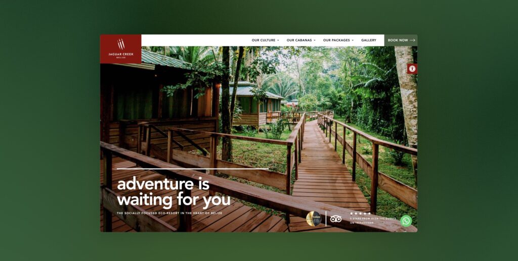 Jaguar Creek Case Study | Brave Factor