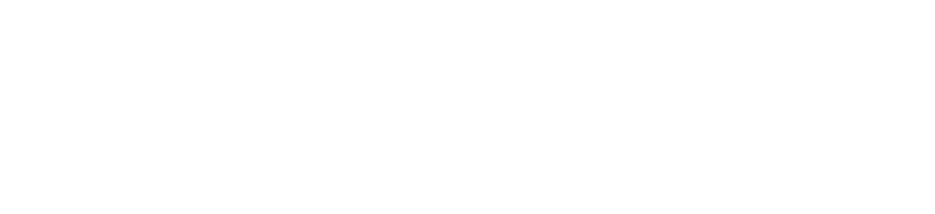 Literata Case Study | Brave Factor